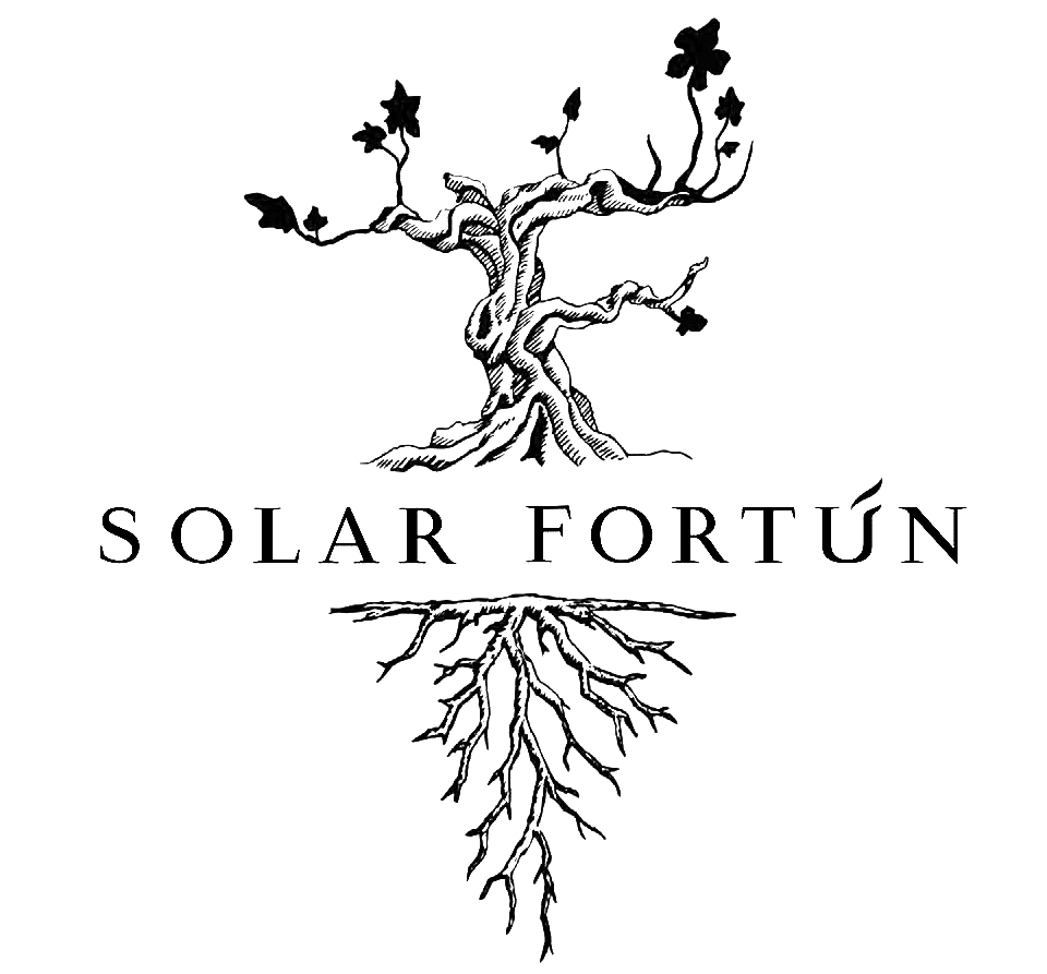 Vinícola Solar Fortun - Provino Baja California