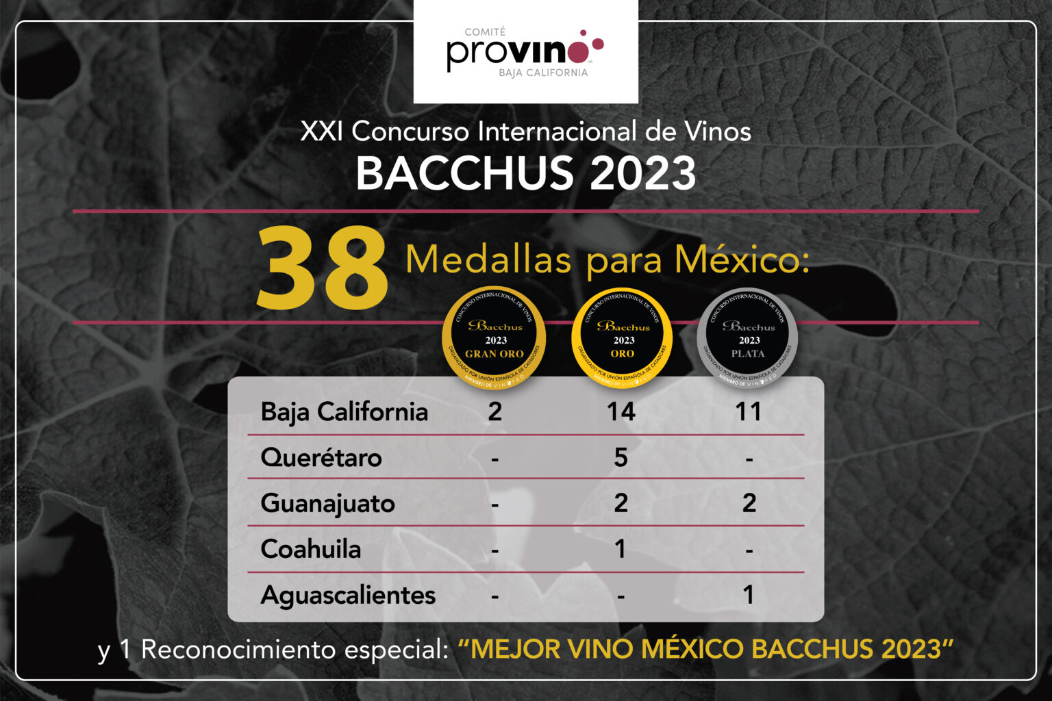 El concurso Bacchus anuncia su medallero 2023 e incluye a Baja ...